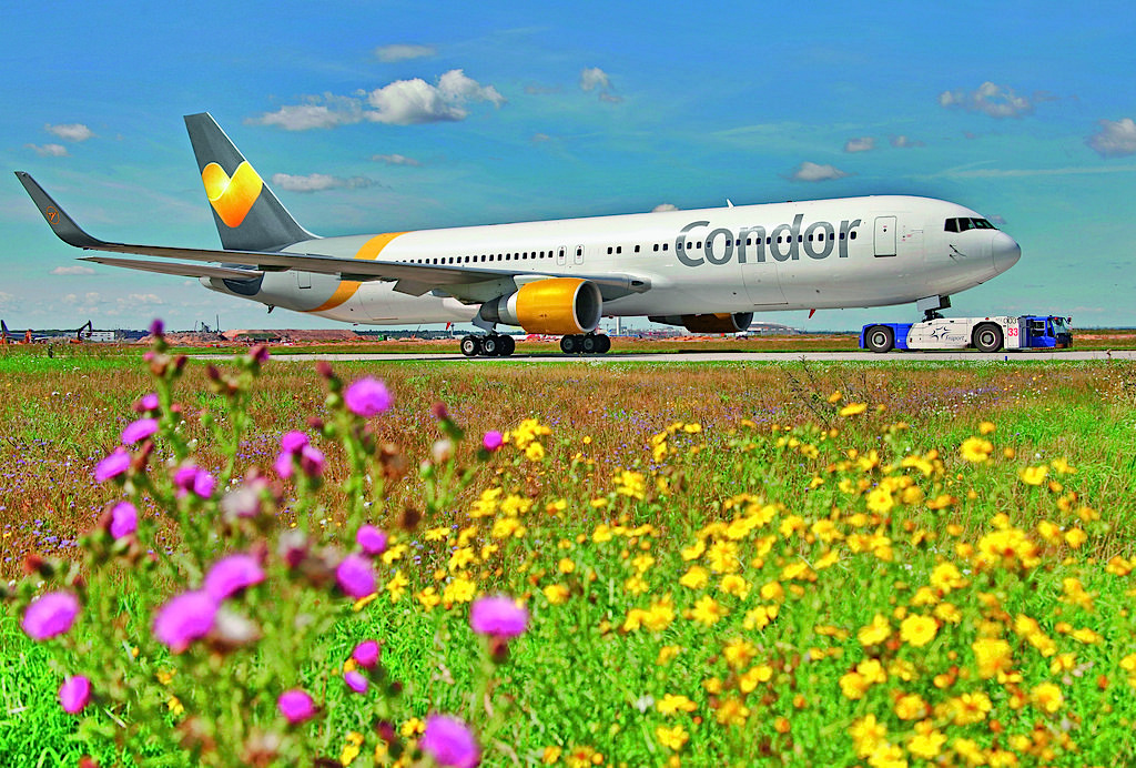 Condor als nachhaltige Fluggesellschaft ausgezeichnet - AERO International